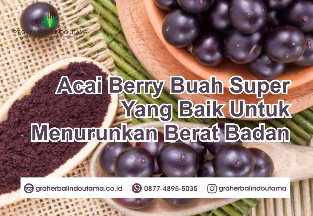 Maklon Herbal Pelangsing Buat Produk Dari Bahan Acai Berry Premium